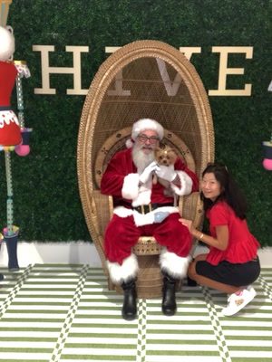 Saturdays with Santa at Hive 2021!